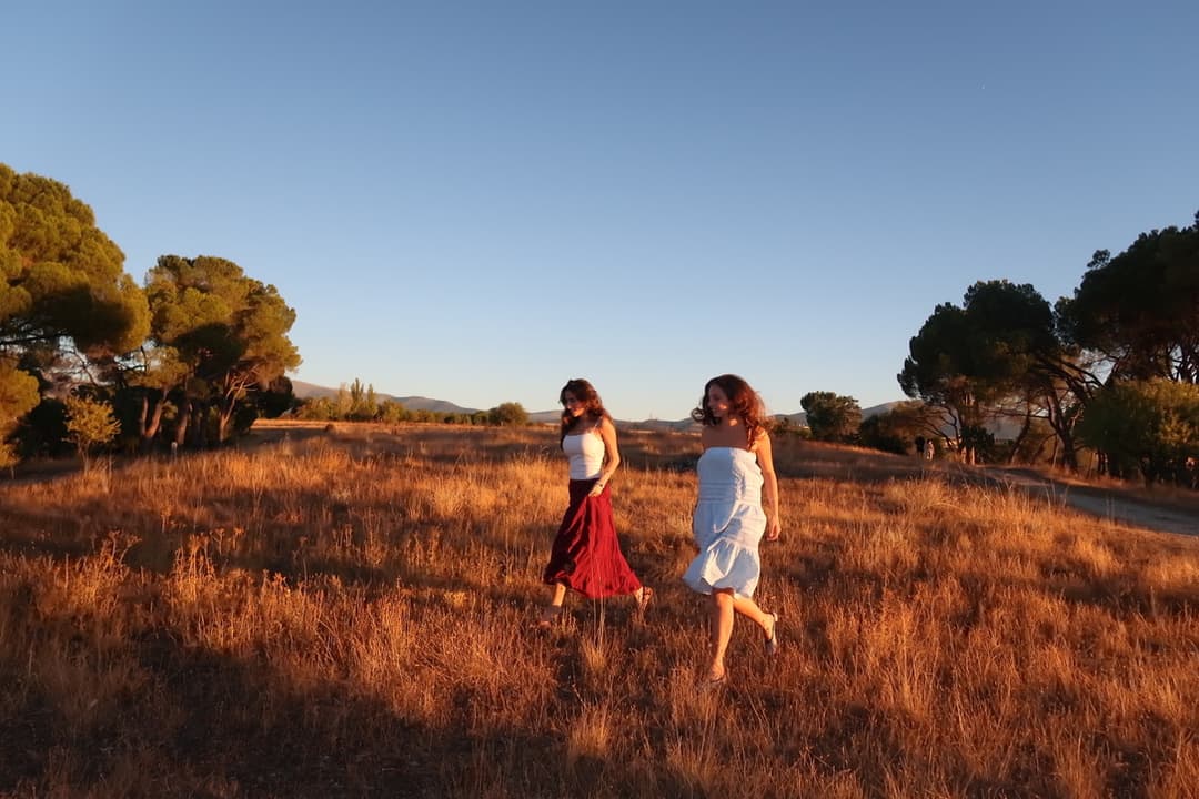 The Fig Tree Magazine